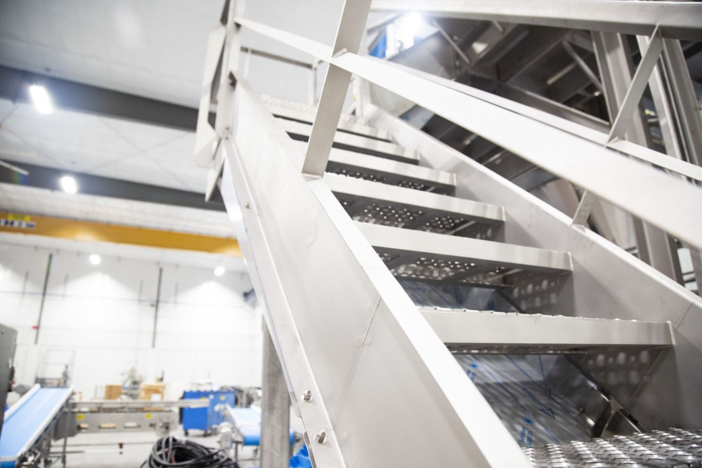 Distribution Conveyor System – PFI