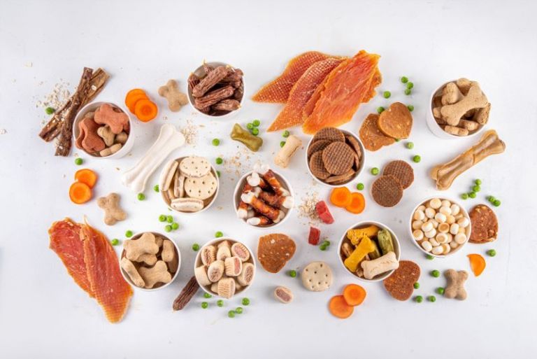 Standardization vs. Flexibility: Pet Food Conveyance Equipment - PFI