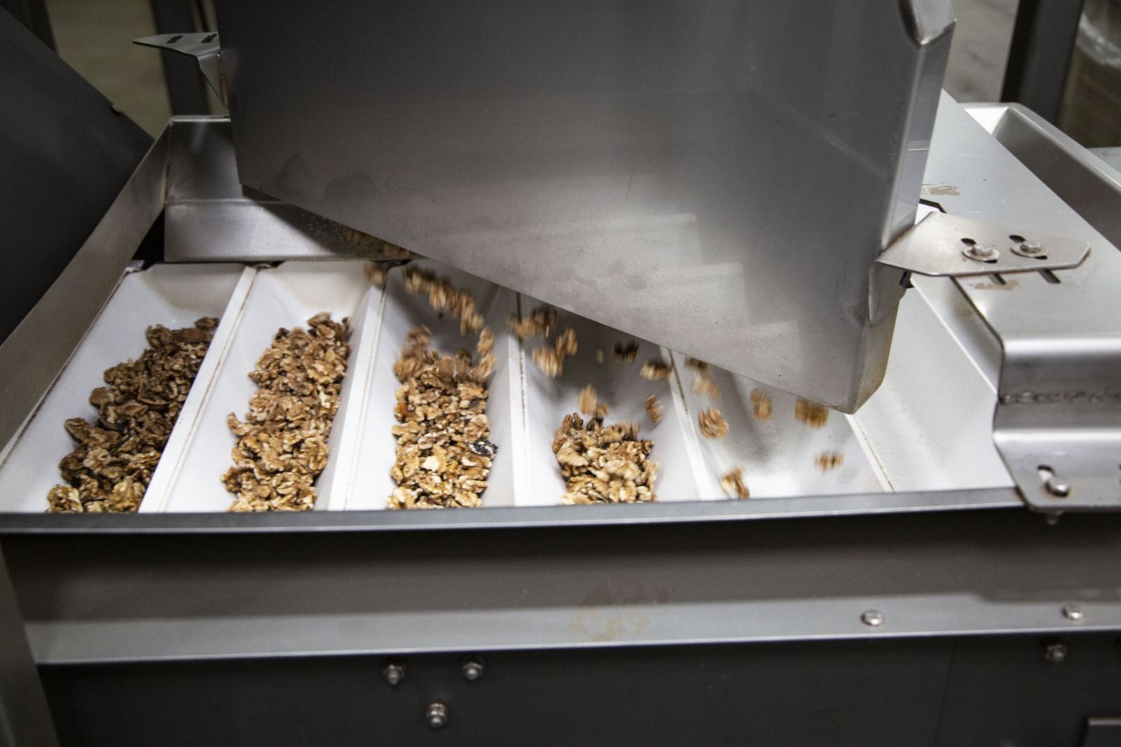 Bucket Elevator Conveyor – PFI