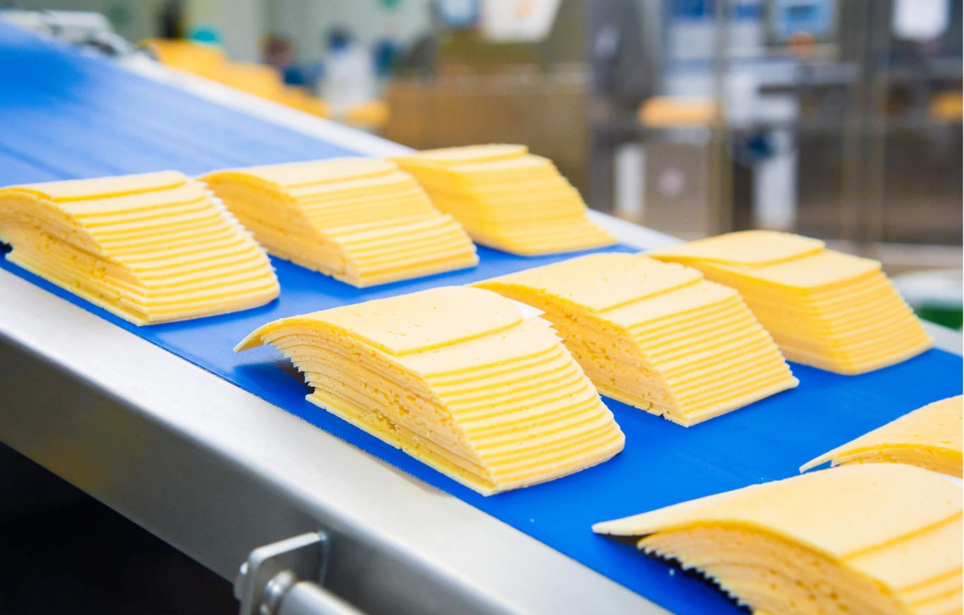 Sanitary Food-Grade Conveyors & Handling Equipment – PFI