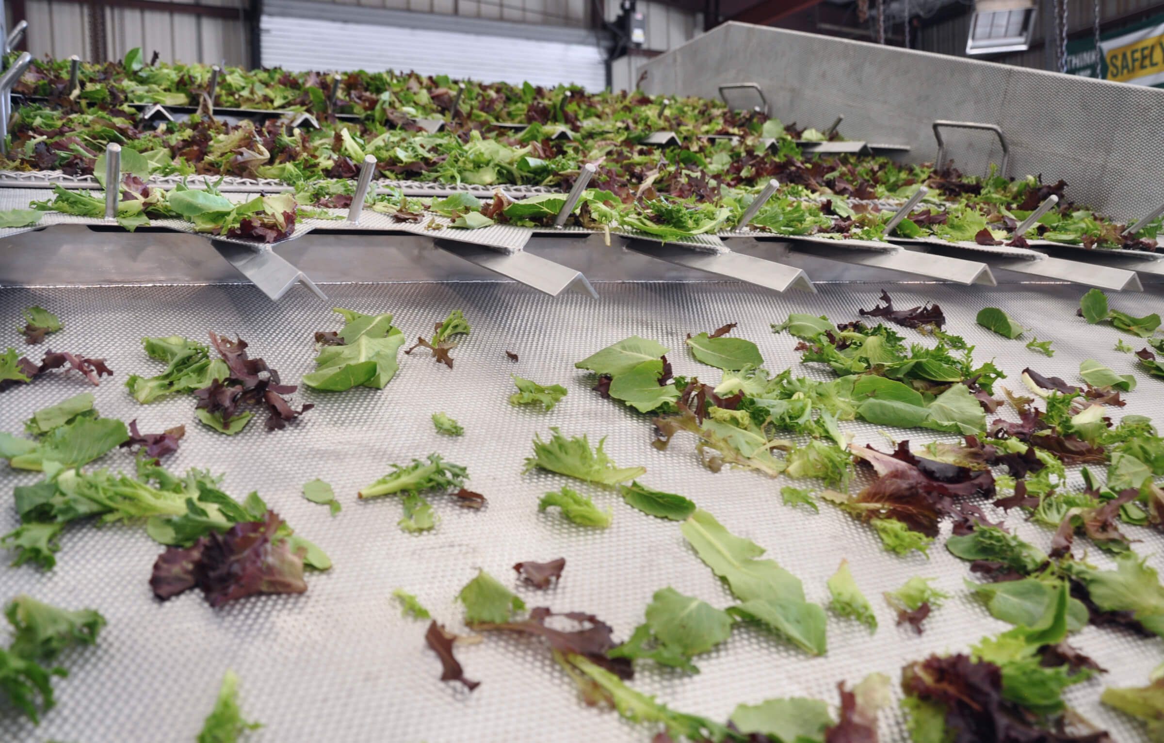 Sanitary Food-Grade Conveyors & Handling Equipment – PFI