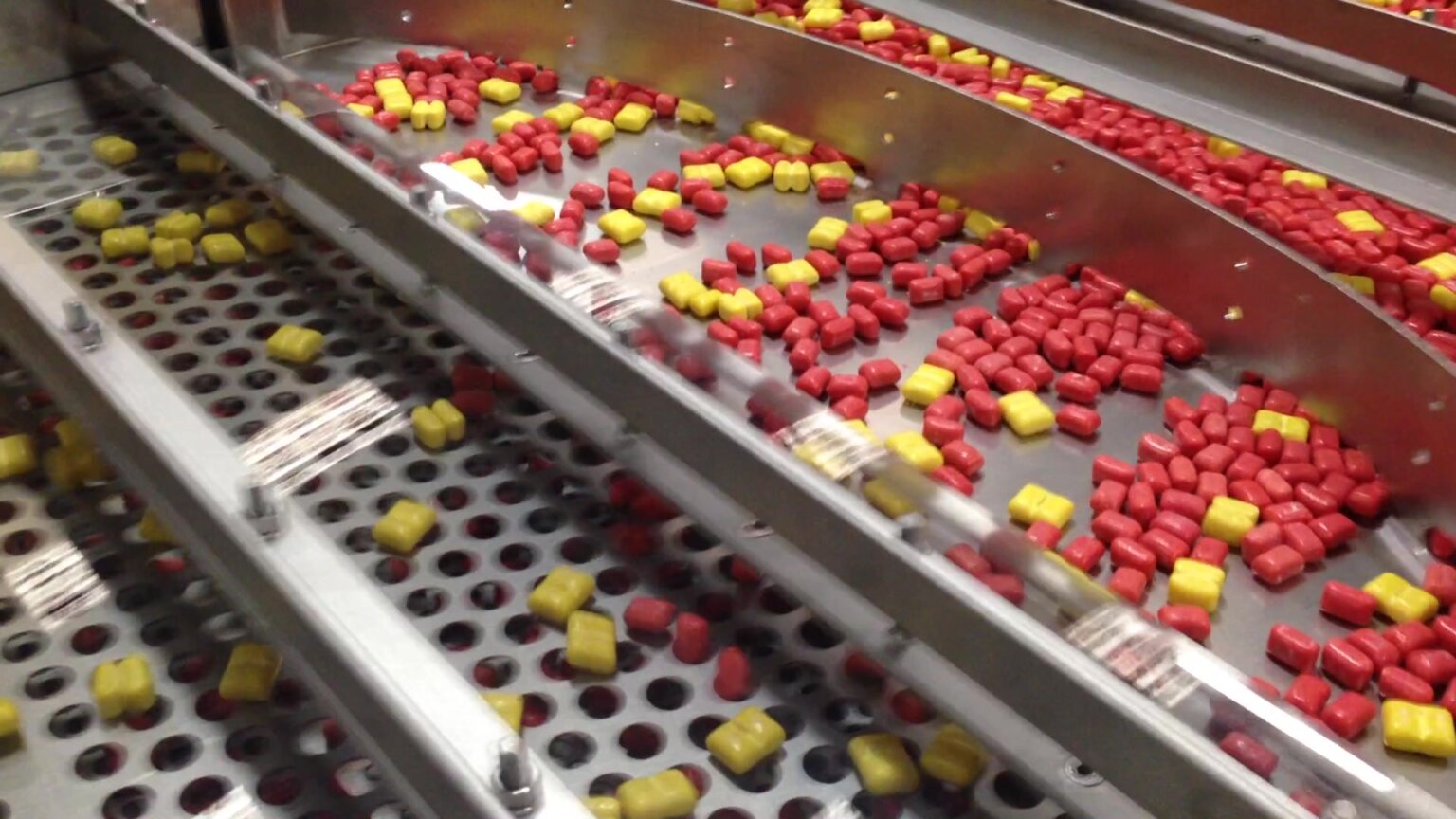 How to Choose The Right Food-Grade Conveyor System - PFI