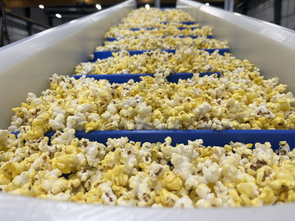 Choosing the Right Conveyor for Snack Food Manufacturing - PFI